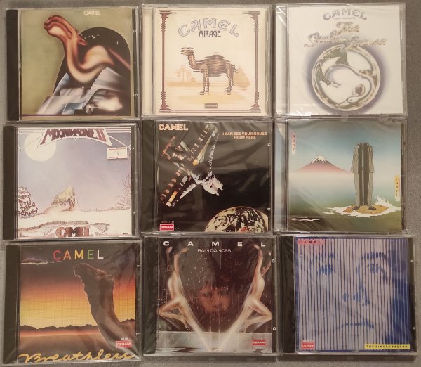CD Camel
