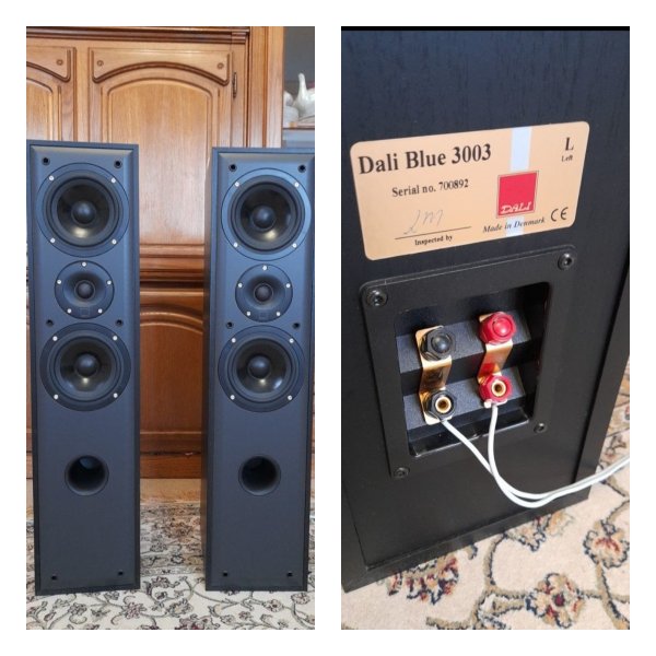 Dali Made in Denmark